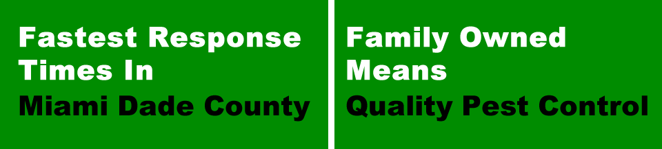 Pest Control Miami - Xtinguish - Exterminator Miami - 305-224-9096